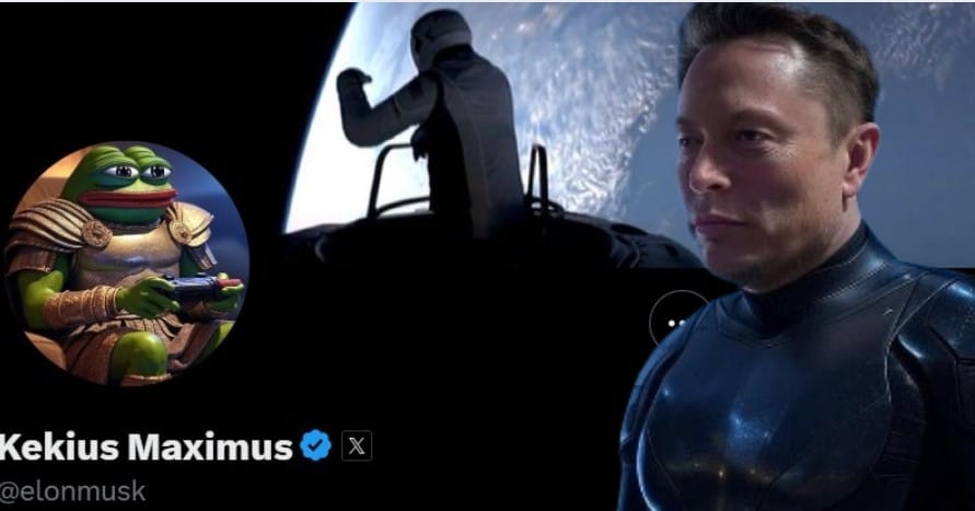 2025: Musk’s ‘Kekius Maximus’, Pepe the Frog; Cryptic or Clever ...