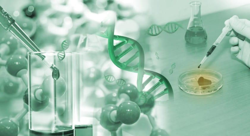BioAsia 2025 to Showcase 80 Trailblazing Life Sciences Startups ...